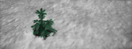 Presence | Cleveland State University