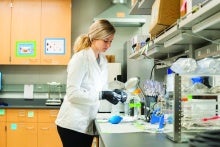 Biological, Geological, and Environmental Sciences | Cleveland State ...